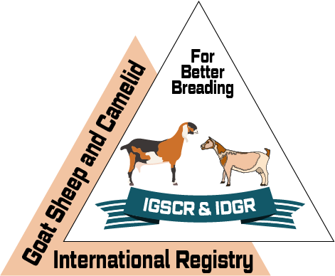 I'm Selling, Trading, or Giving Away My Goat - Goat Journal